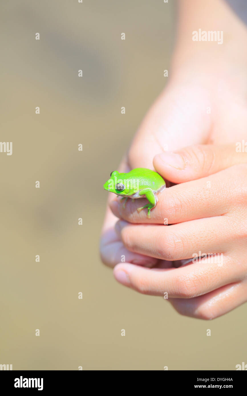 Japanese kid with frog Stock Photo - Alamy