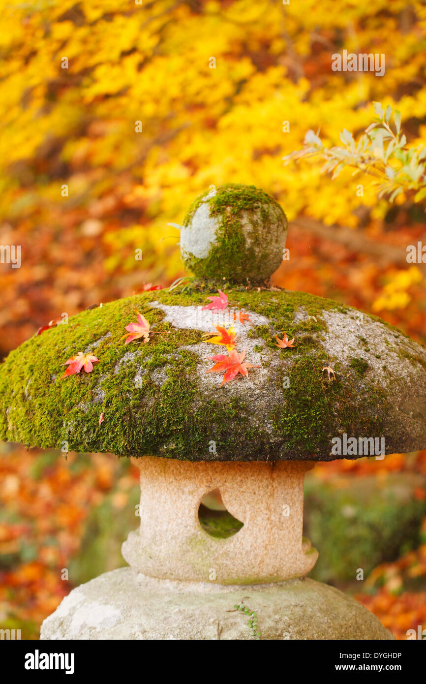Maple leaves and stone Lantern Stock Photo - Alamy