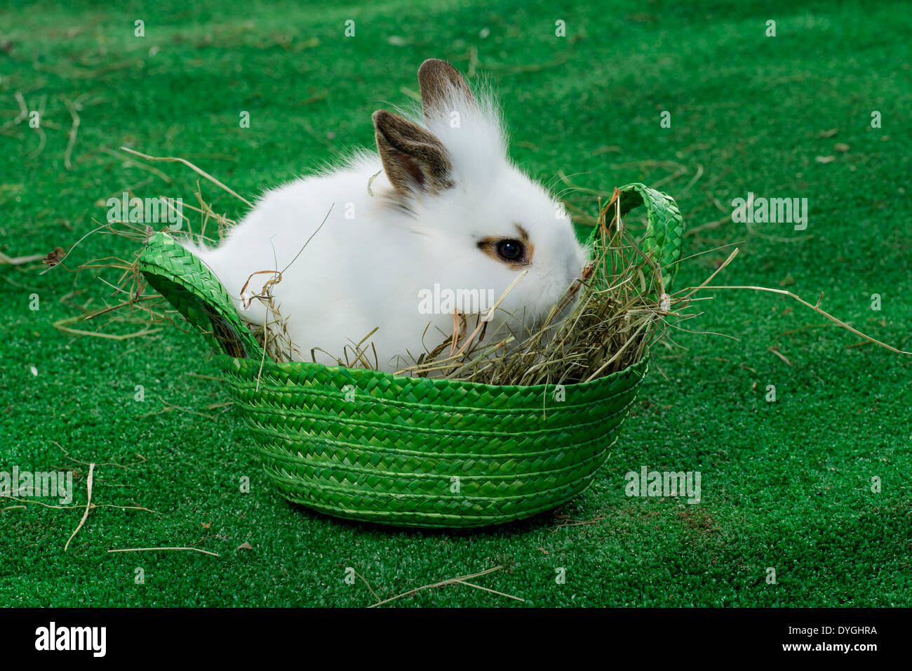 Easter motives hi-res stock photography and images - Alamy