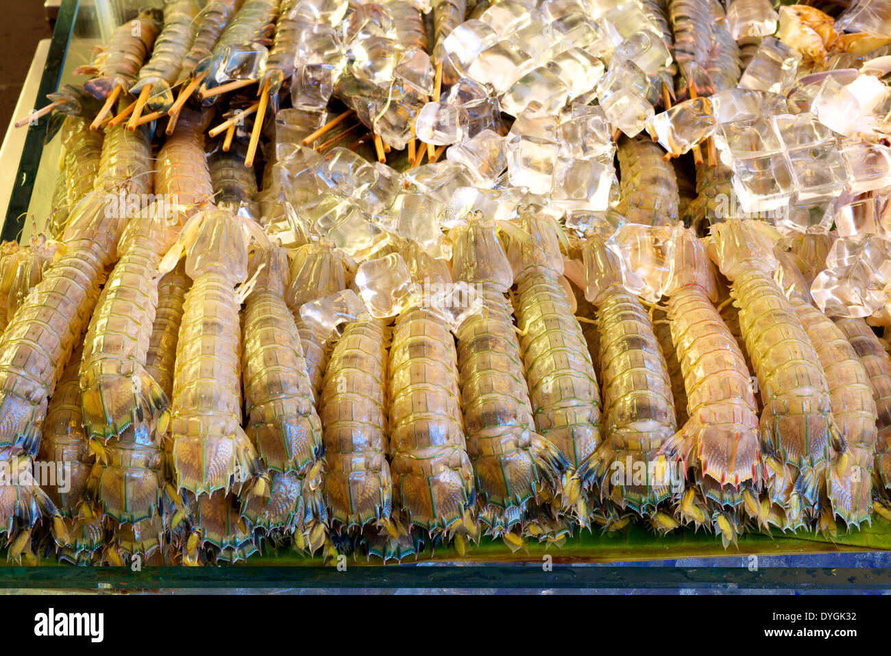 Fresh mantis Shrimp with ice in restaurant buffet Stock Photo - Alamy