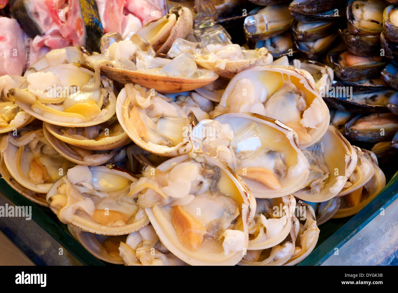 fresh raw mussels with ice on the bar counter Stock Photo - Alamy
