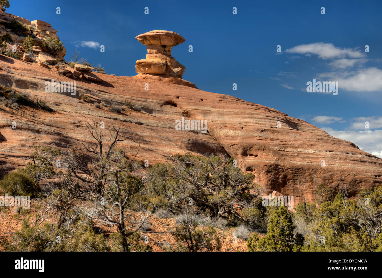 Hourglass shaped hi-res stock photography and images - Alamy