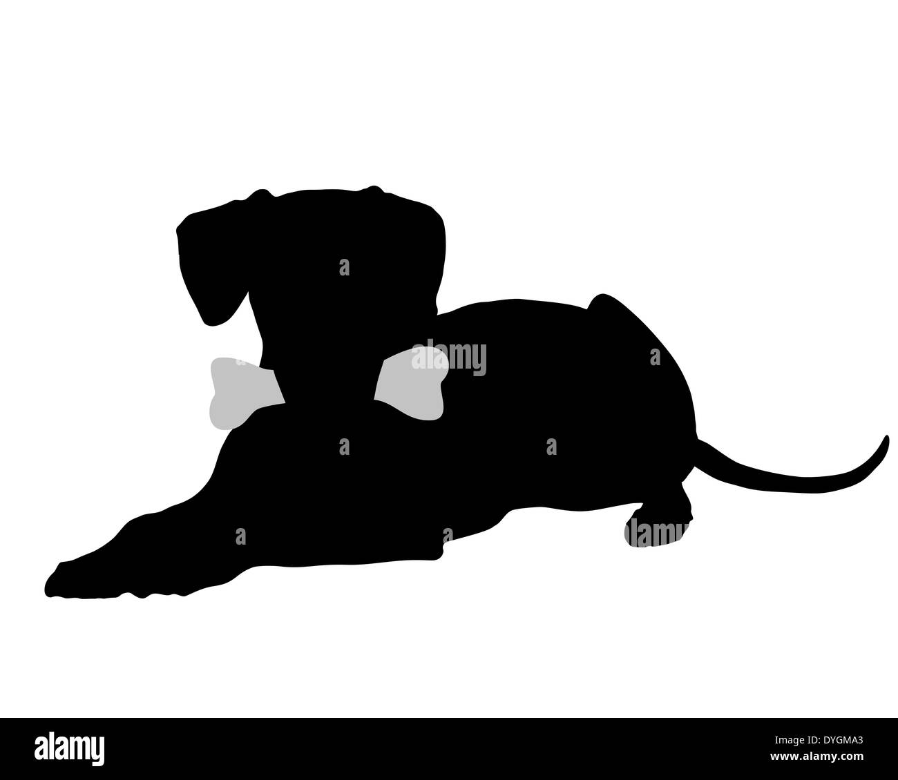 Dog with bone Stock Photo - Alamy