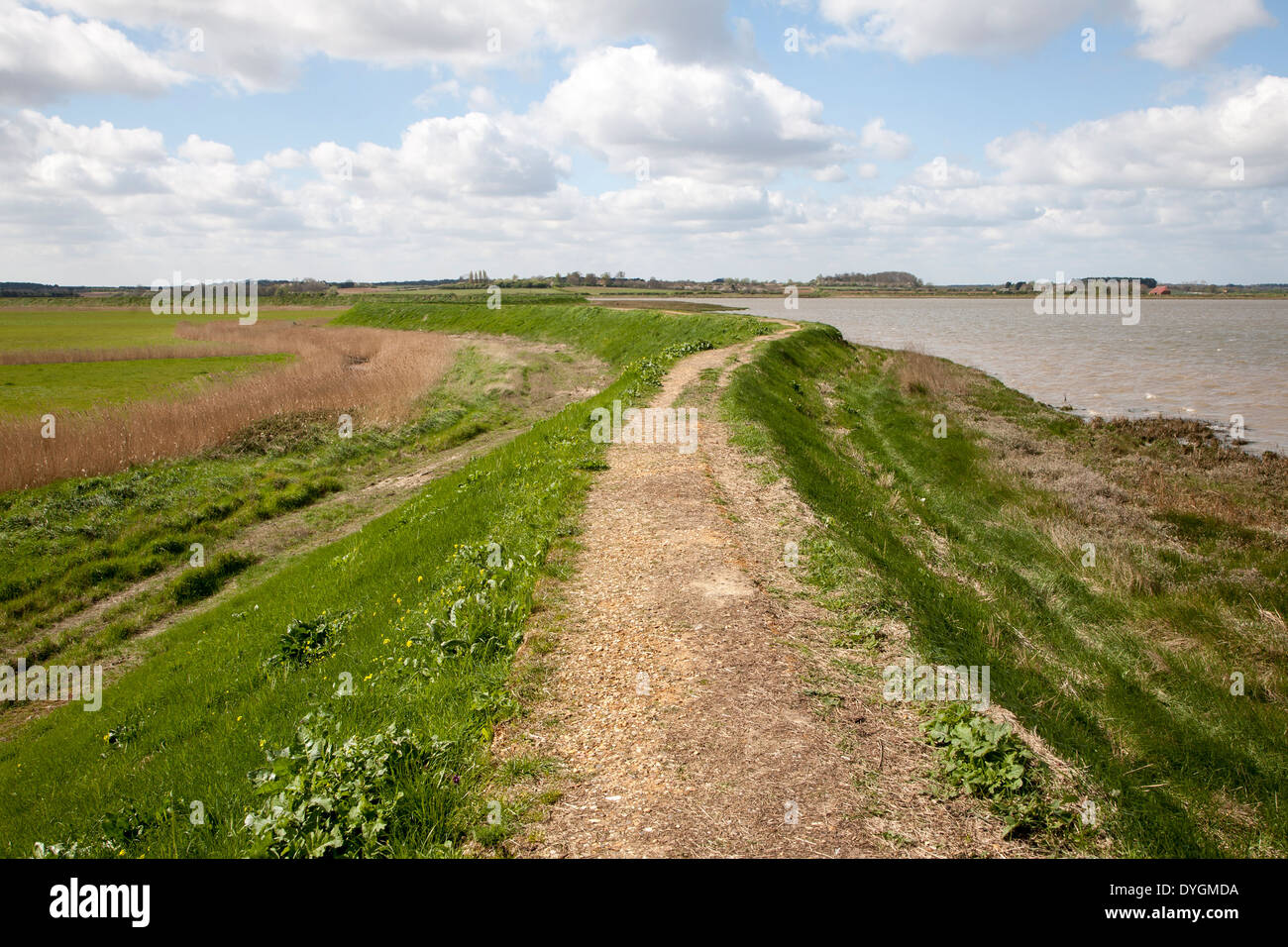 Flood defence embankment wall river alde hi-res stock photography and ...