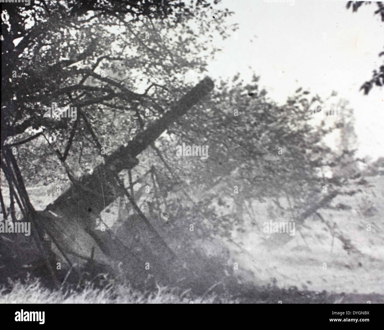 The Theodore (TP) Hall Collection features images and artifacts related ...