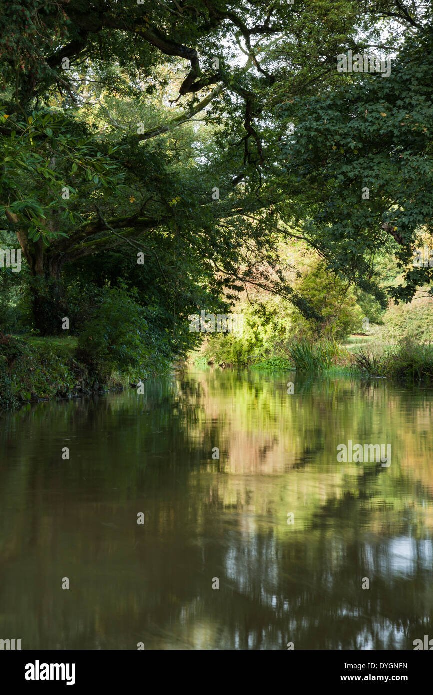 Overhanging branches hi-res stock photography and images - Alamy