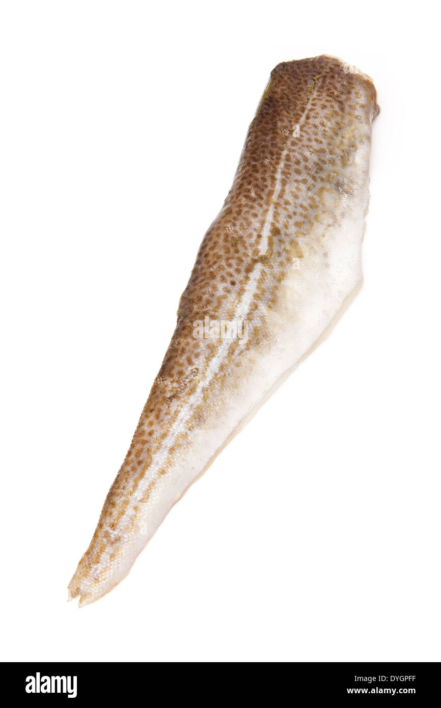 Atlantic Cod fillet isolated on a white studio background Stock Photo ...
