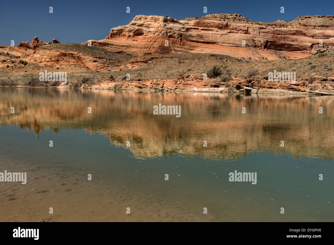 The Colorado River at the Dewey Bridge, near Moab, Utah Stock Photo - Alamy