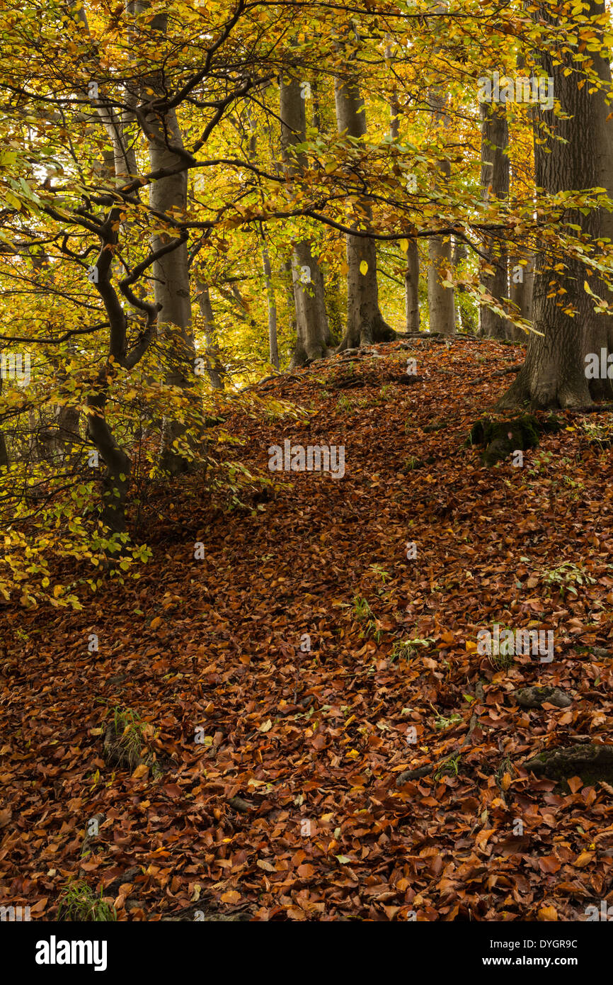 Sharpenhoe clappers fort hi-res stock photography and images - Alamy