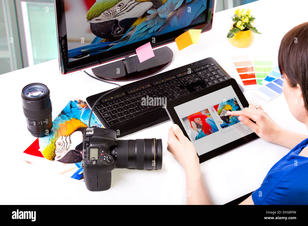 Editor hi-res stock photography and images - Alamy