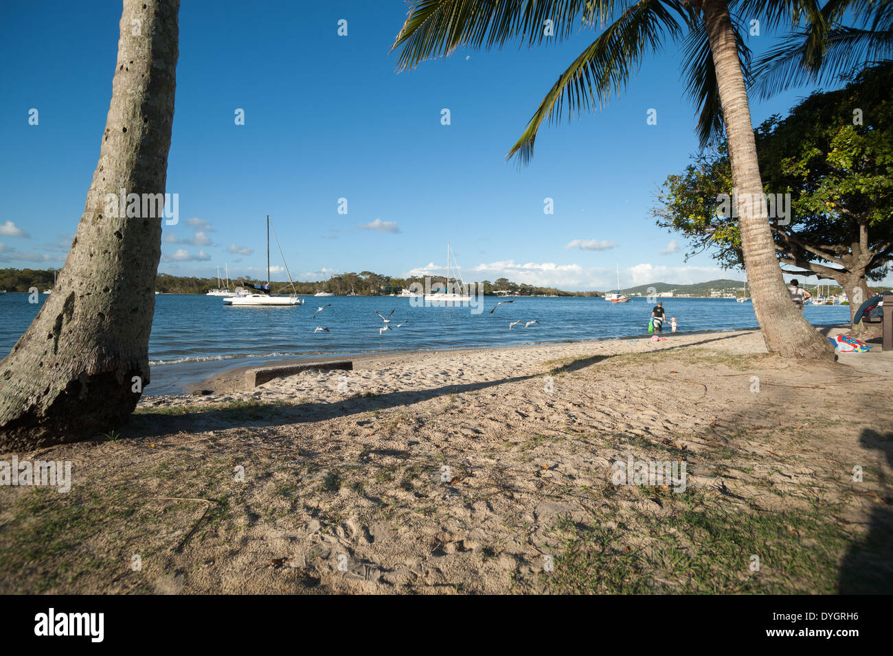Noosa river hi-res stock photography and images - Alamy