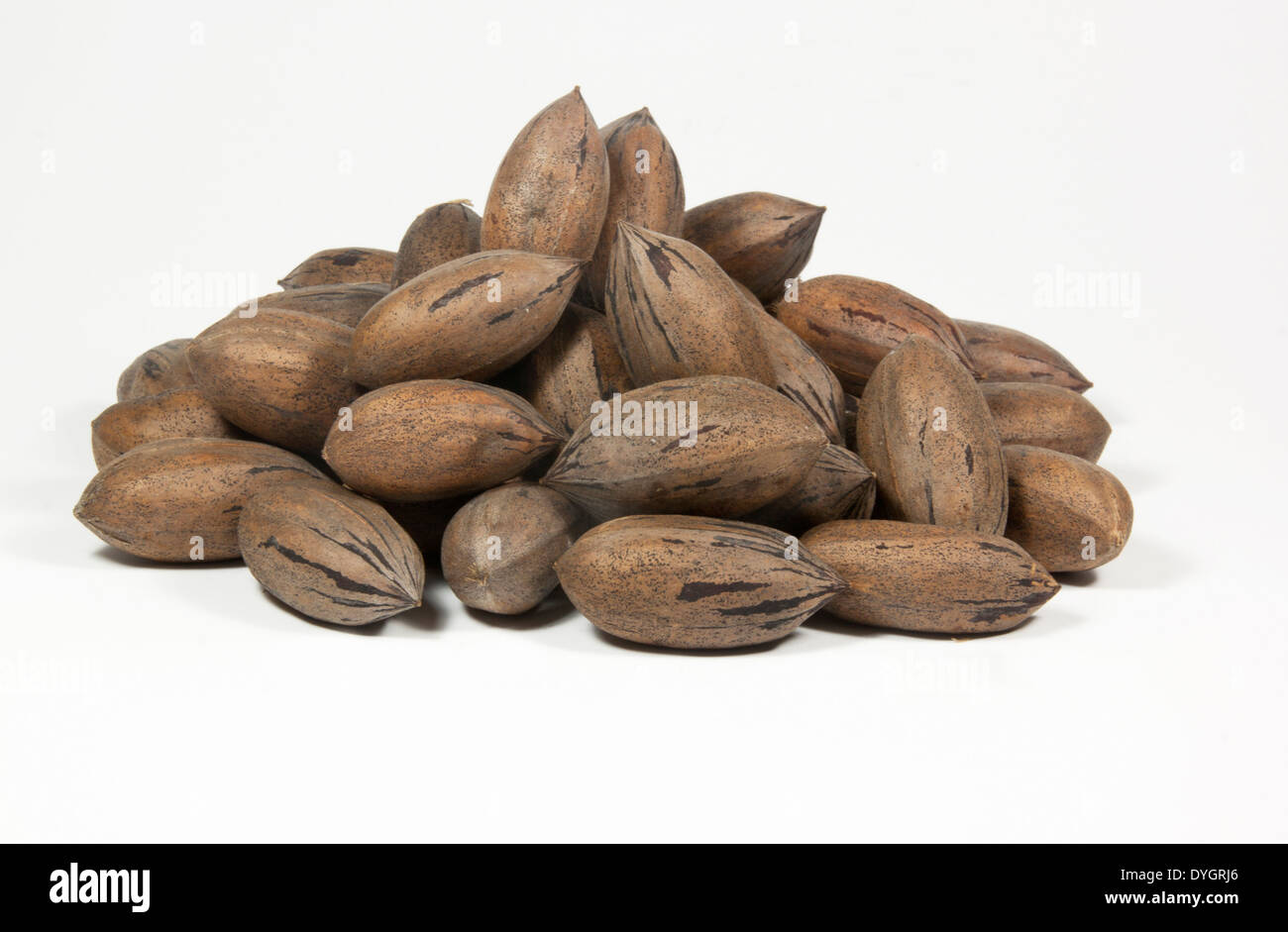 random pile of newly picked pecan nuts Stock Photo - Alamy