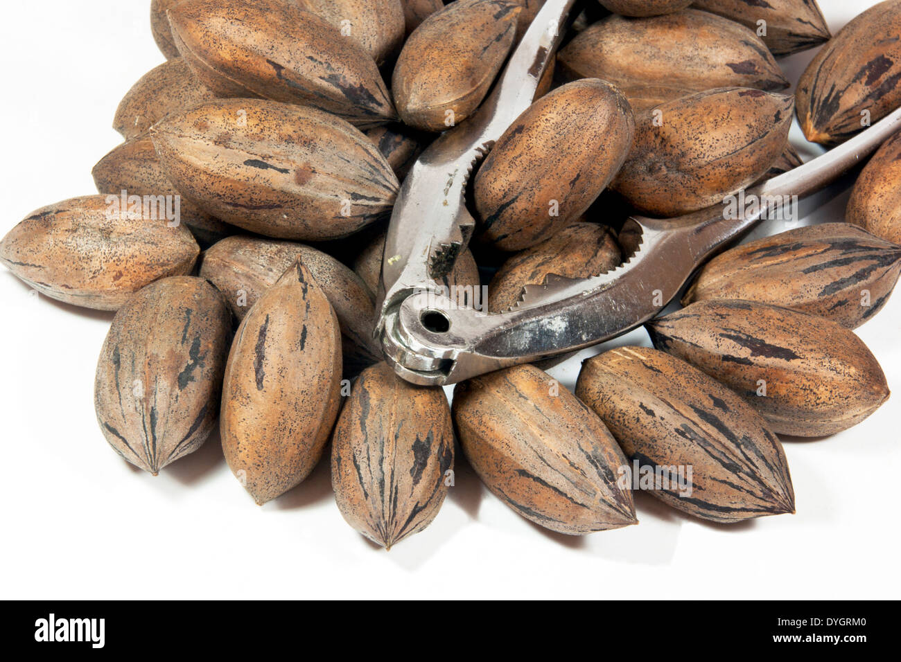 Silver nutcracker hi-res stock photography and images - Alamy