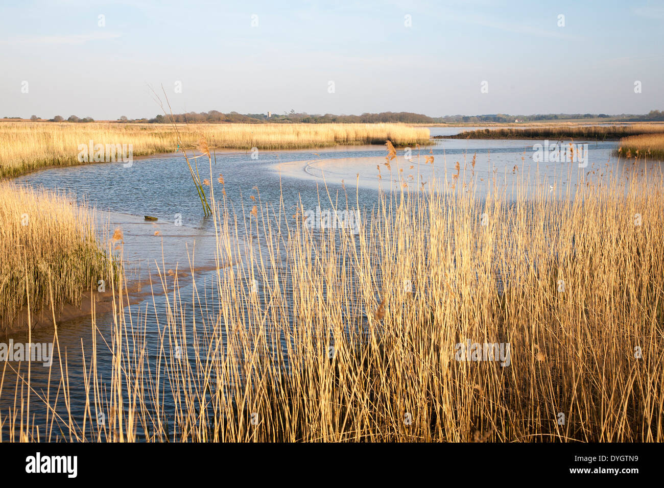Reed Bed River Landscape High Resolution Stock Photography and Images ...