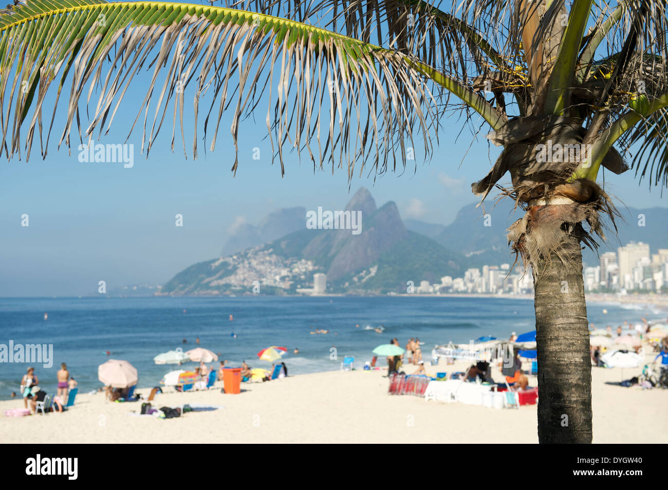 Ipanema Beach Rio de Janeiro Brazil view with palm tree at Arpoador ...