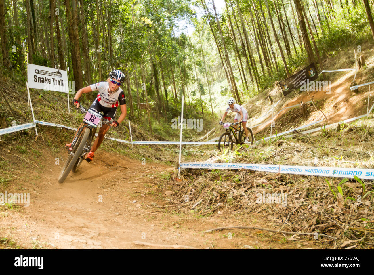 Bicycle snake hi-res stock photography and images - Alamy