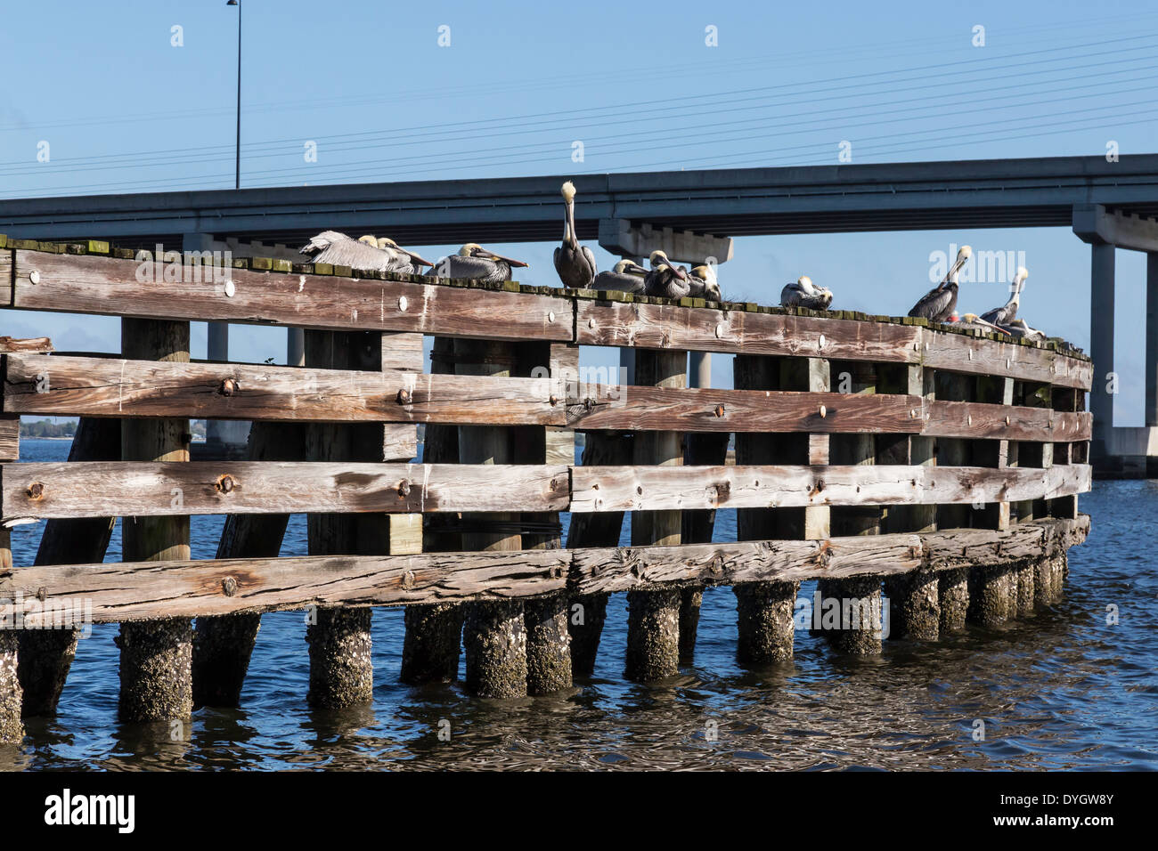 Waterfront in Punta Gorda, Florida, USA Stock Photo - Alamy