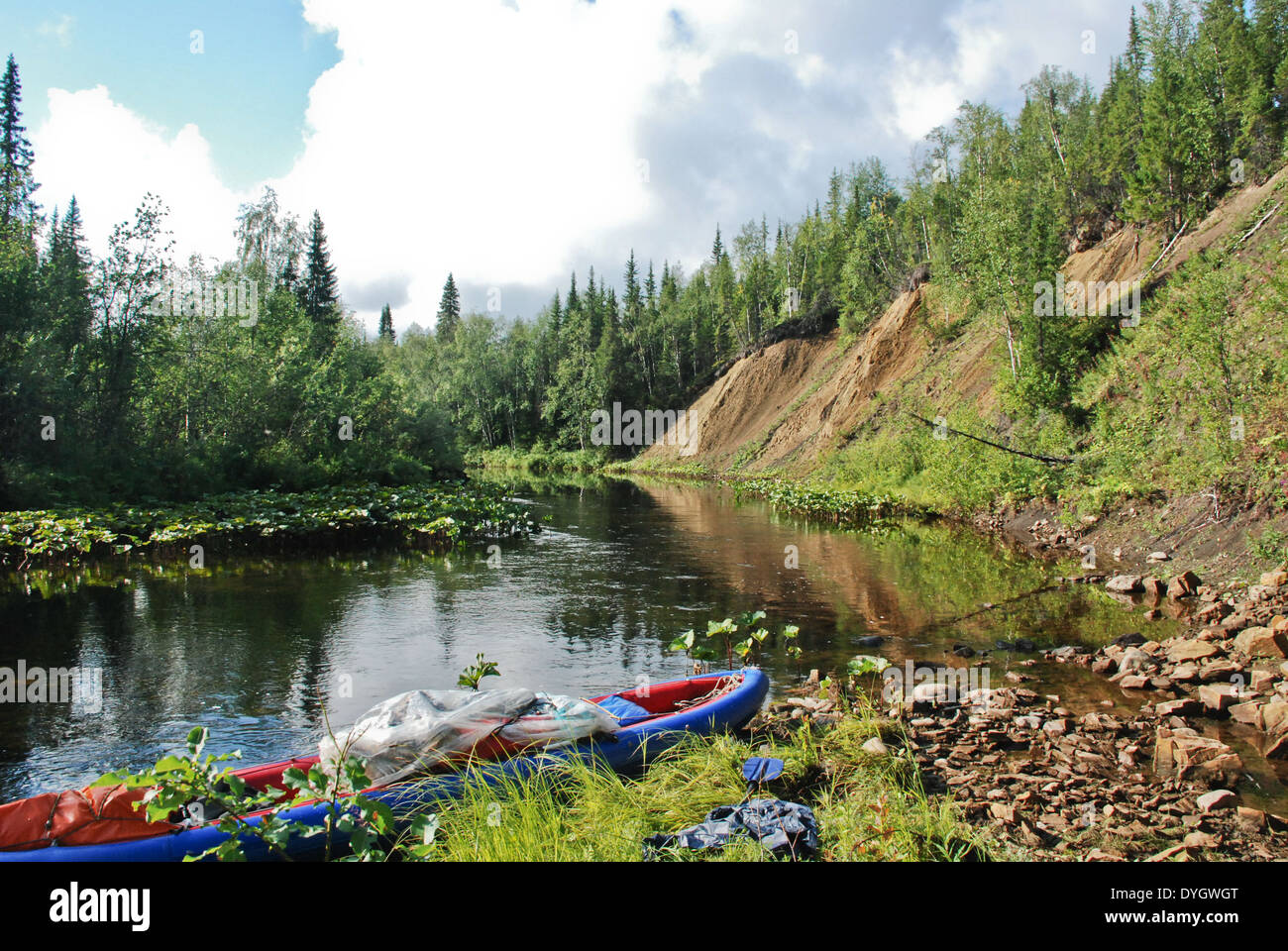 Calm forest river. Virgin Komi forests, taiga in the Ridge Chernyshov ...