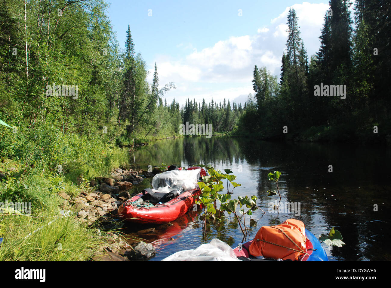 Russia, Komi Republic, summer, taiga. Canoe on the river in the virgin ...