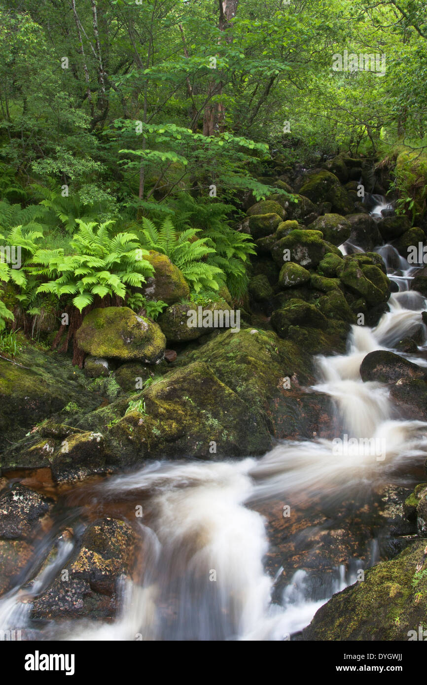 Water cascade hi-res stock photography and images - Alamy