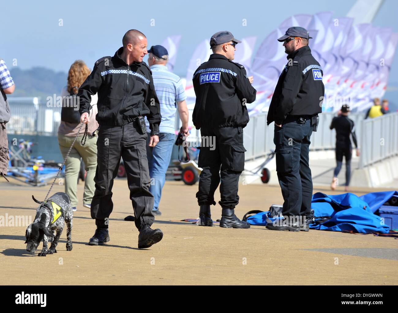 Security sniffer dog work hi-res stock photography and images - Alamy