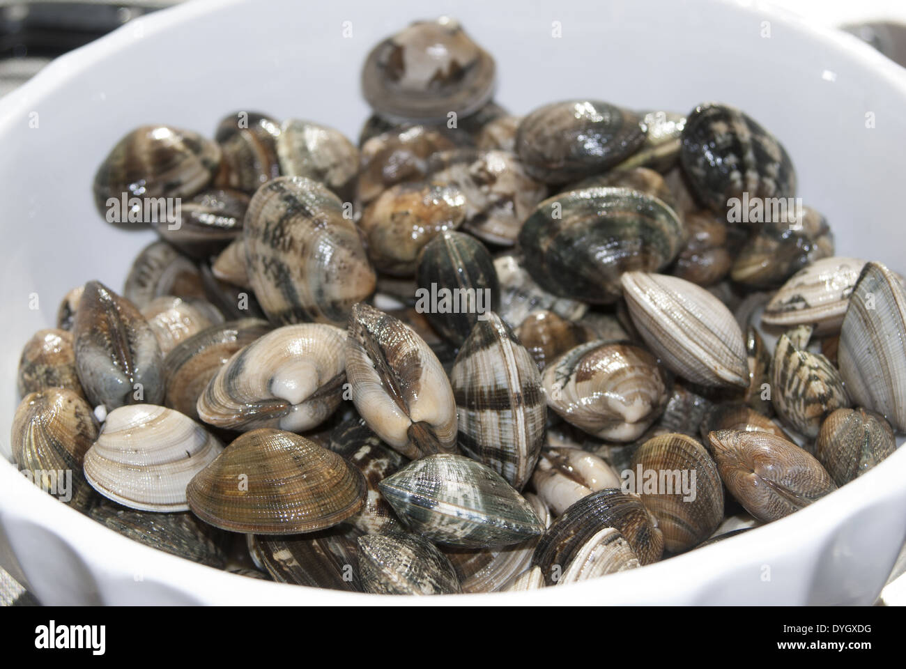 Clamshell seafood hi-res stock photography and images - Alamy