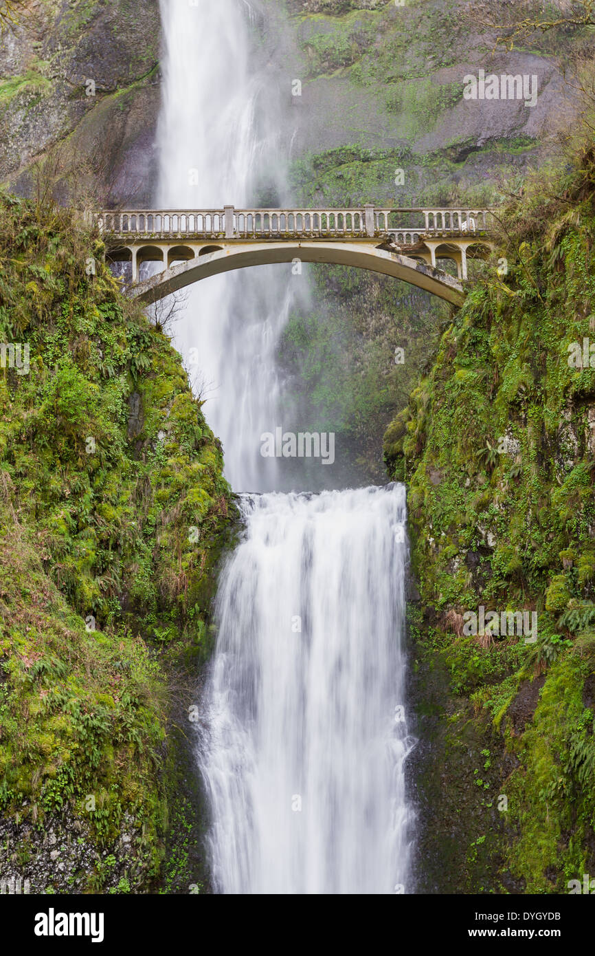 Multnomah Falls in the columbia gorge in Oregon, shot at spring time ...