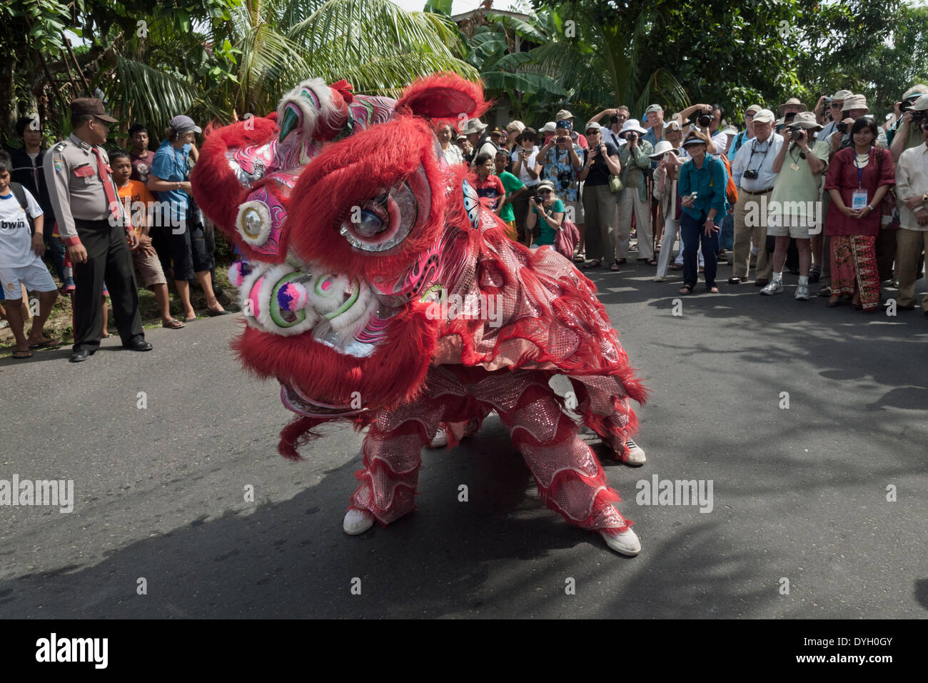 Lion dancer performing for the crowd, Belitung Island, Indonesia Stock ...