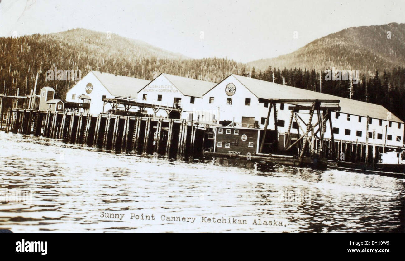 This image from the AL231 Davis Album captures the AL-231 aircraft ...