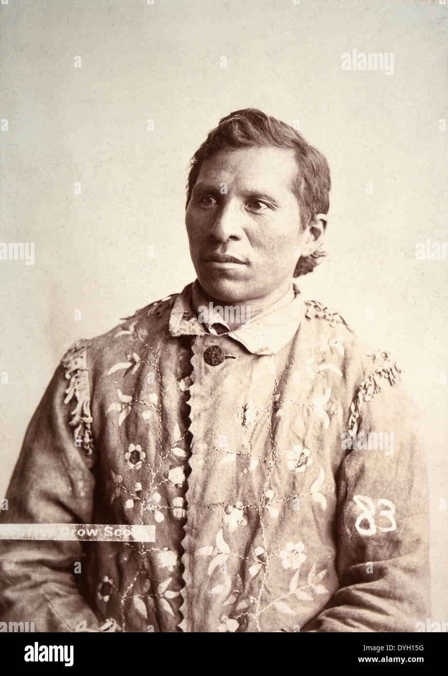 Curley, Crow Scout, Portrait, Albumen Photograph, 1877 Stock Photo - Alamy