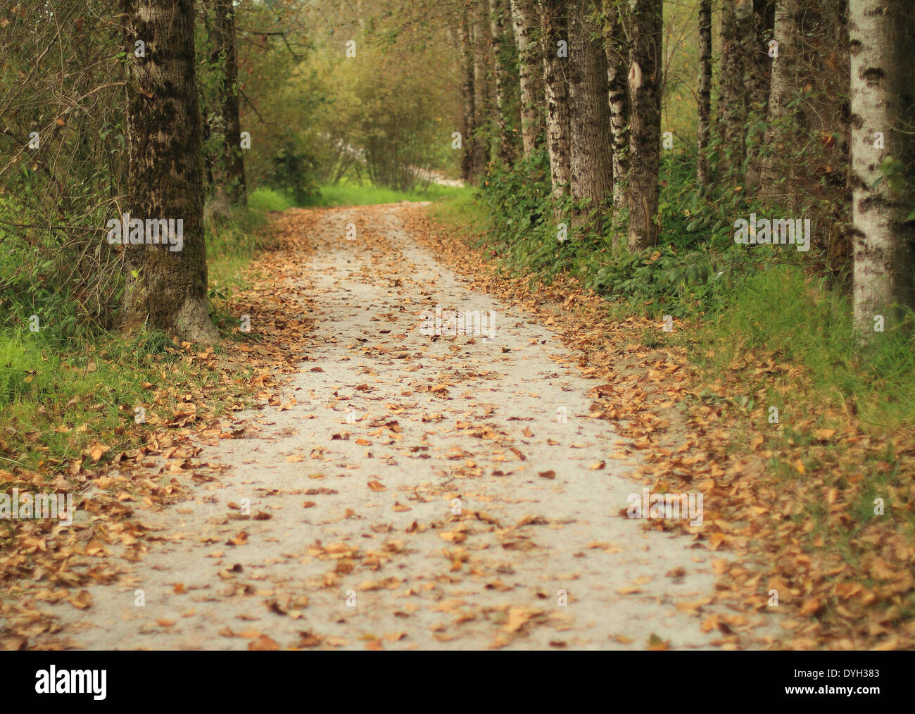 Calming path hi-res stock photography and images - Alamy