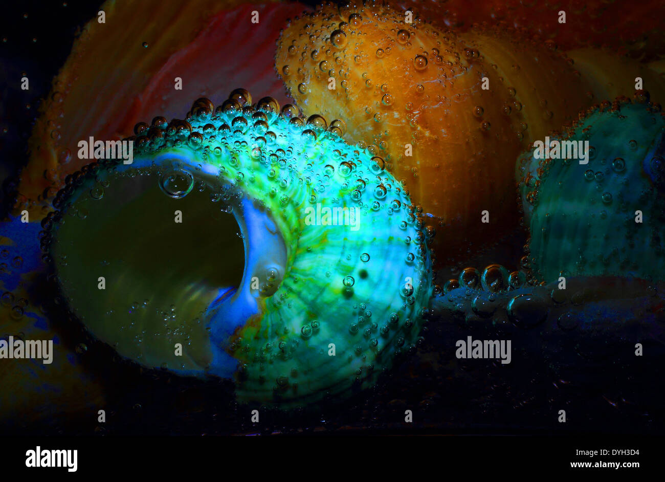 Under the sea colors hi-res stock photography and images - Alamy