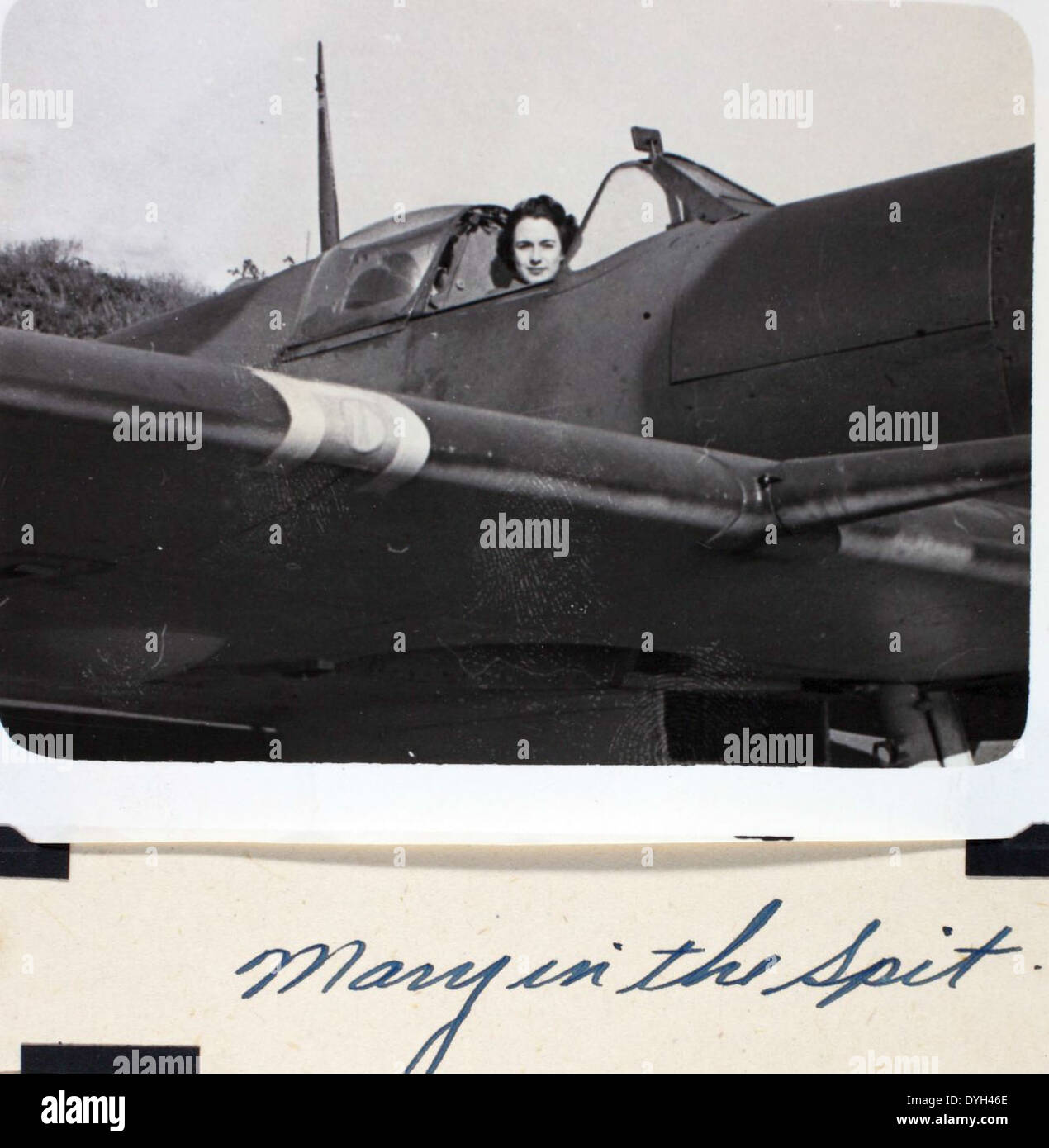 The 352nd Fighter Group, known for its distinguished combat during ...