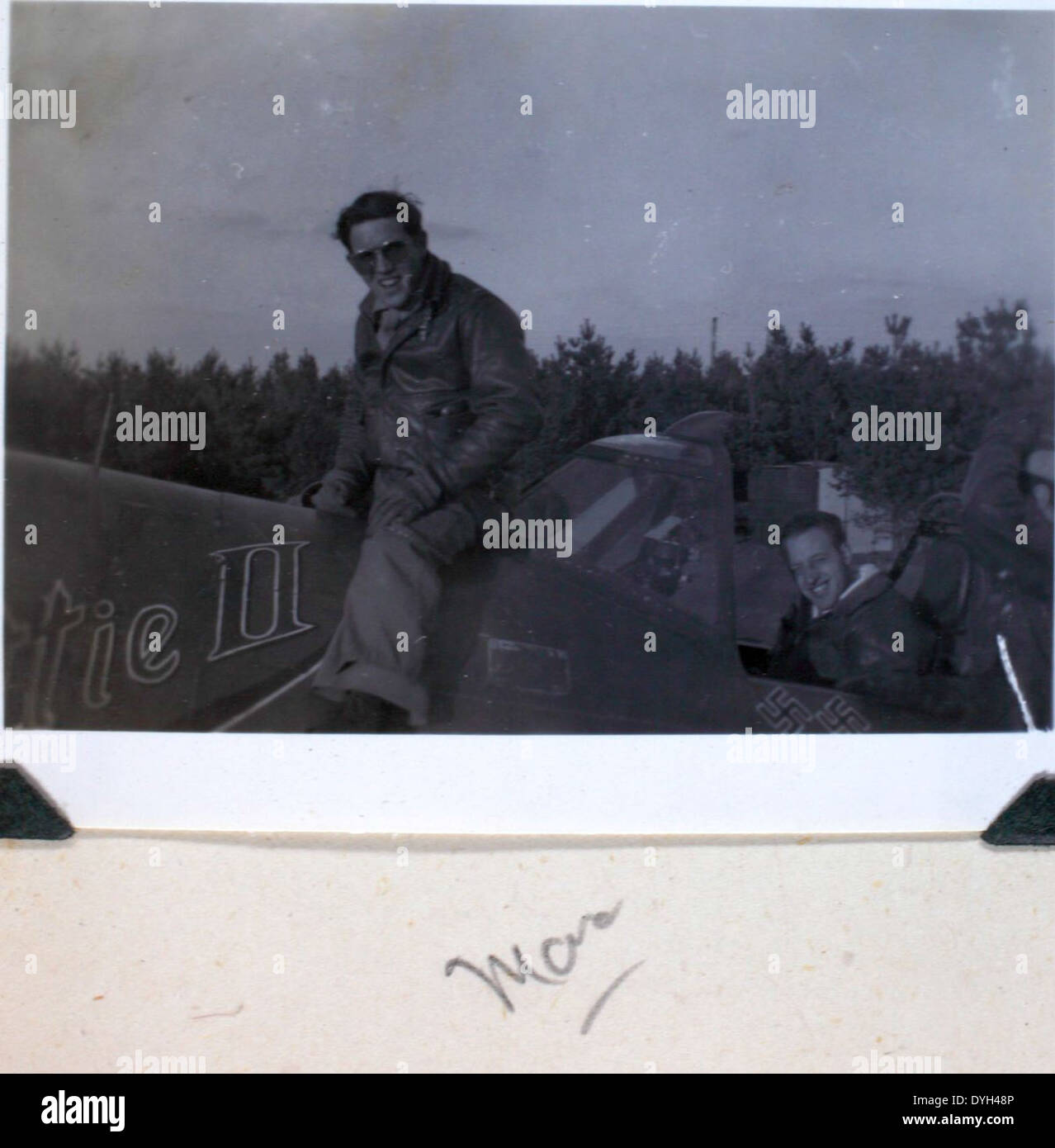 This image from the 352nd Fighter Group features the P-47 Thunderbolt ...