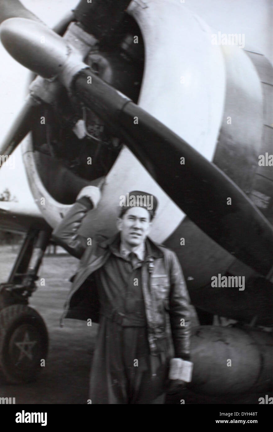 This image depicts the 352nd Fighter Group, known for its service ...