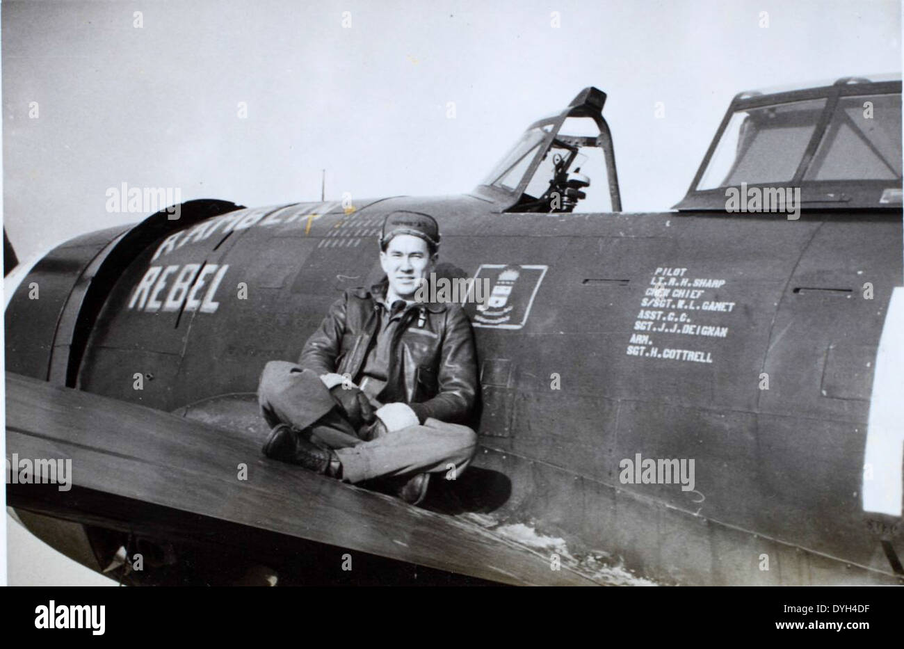This image features aircraft from the 352nd Fighter Group during World ...