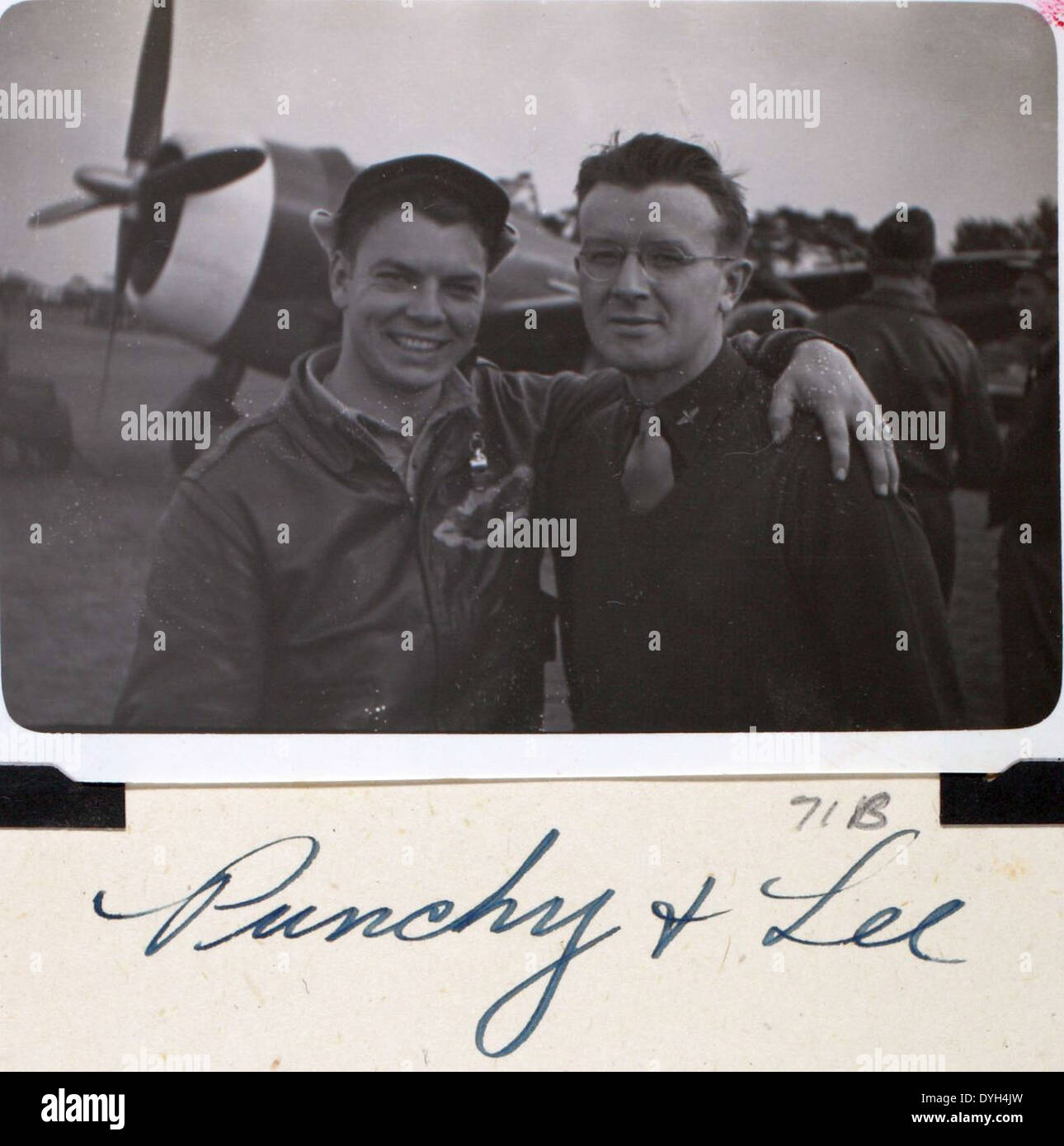 This image features the 352nd Fighter Group, a key unit in World War II ...