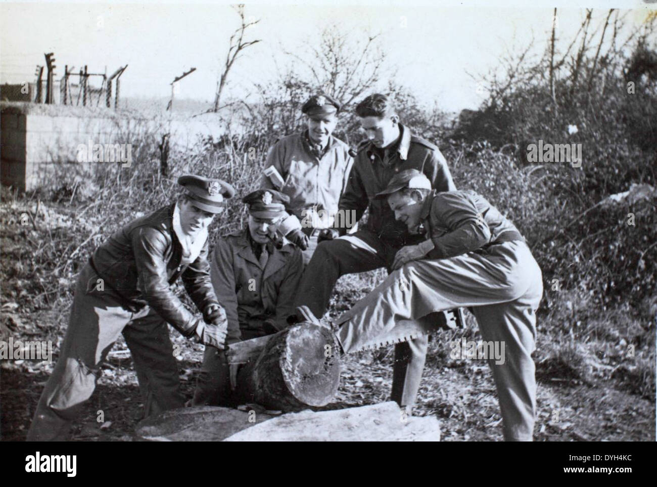 This image features the 352nd Fighter Group during World War II, known ...