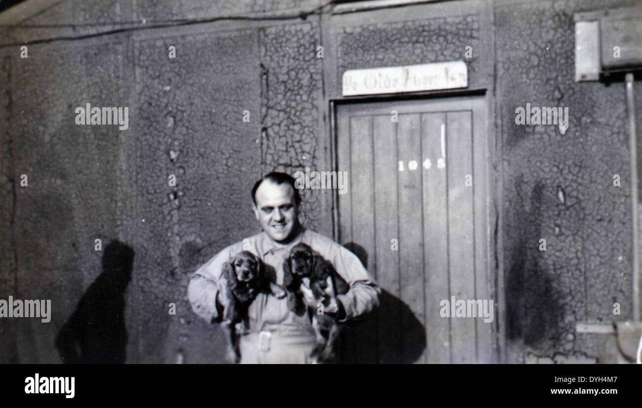 This image features aircraft from the 352nd Fighter Group during World ...