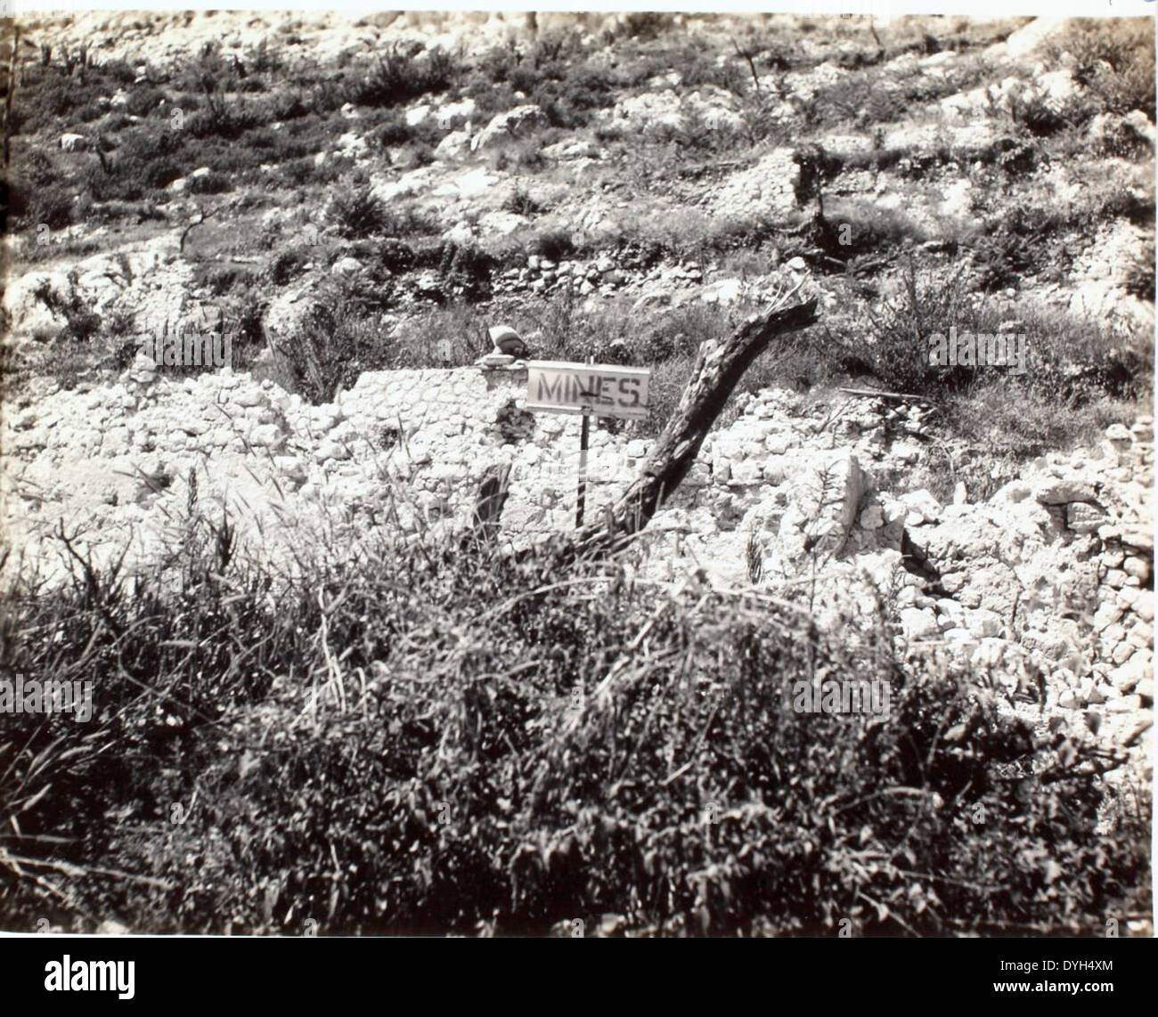 This photograph features a B-24 Liberator aircraft from World War II ...