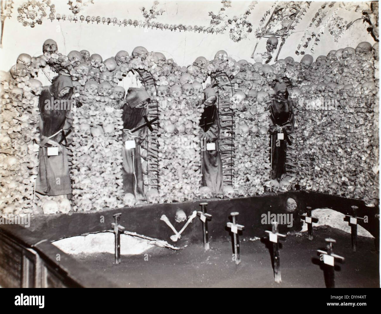 This image captures a B-24 Liberator bomber, widely used during World ...