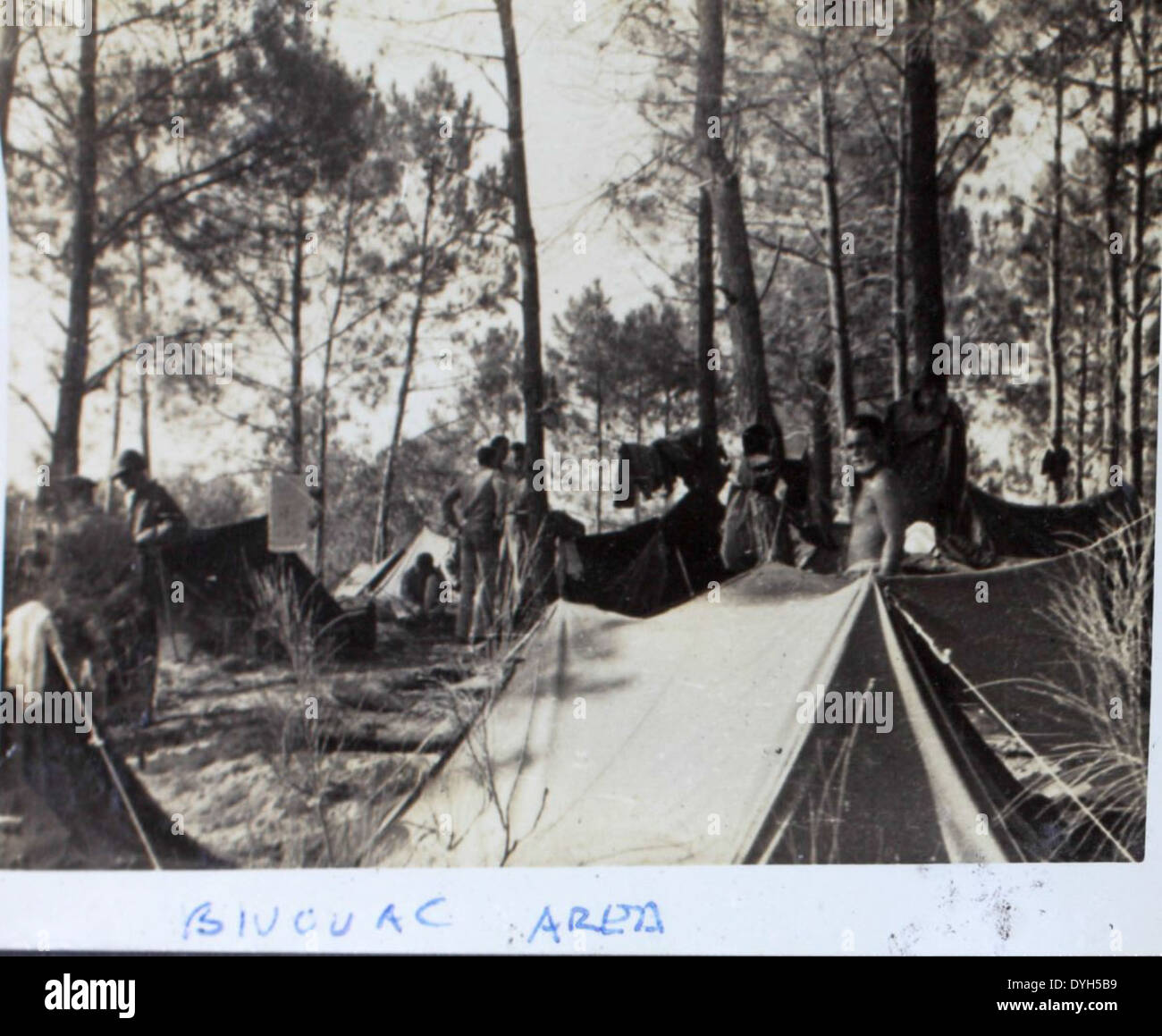 The B-24 Liberator, captured in this Erickson AL16 photo, was a heavy ...