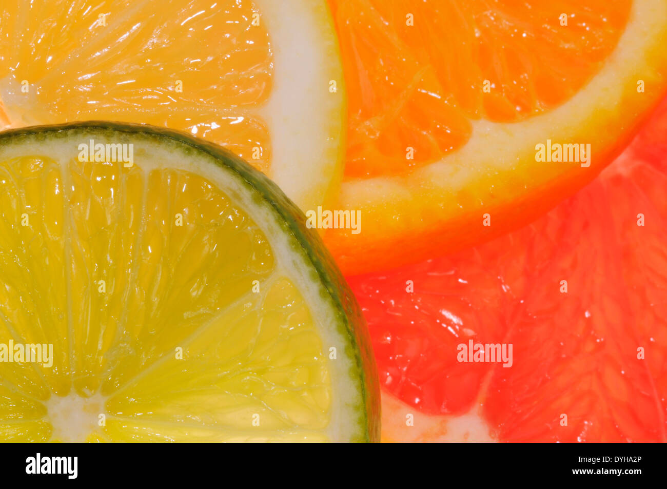 Slices of citrus fruit - lemon, orange, lime, pink grapefruit Stock ...