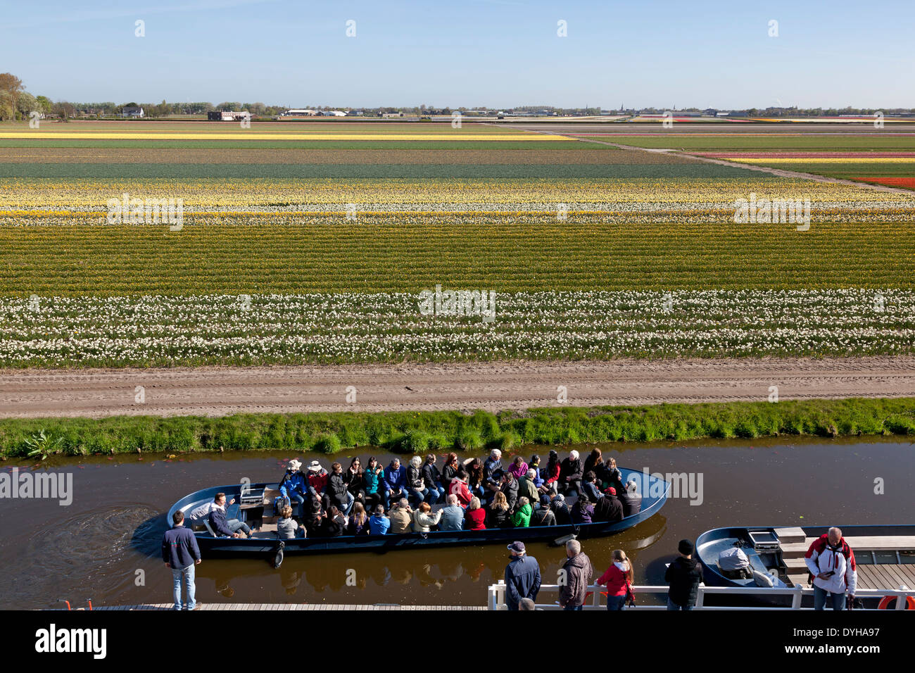 Electric whisper boat at the Keukenhof through the flowering bulb ...