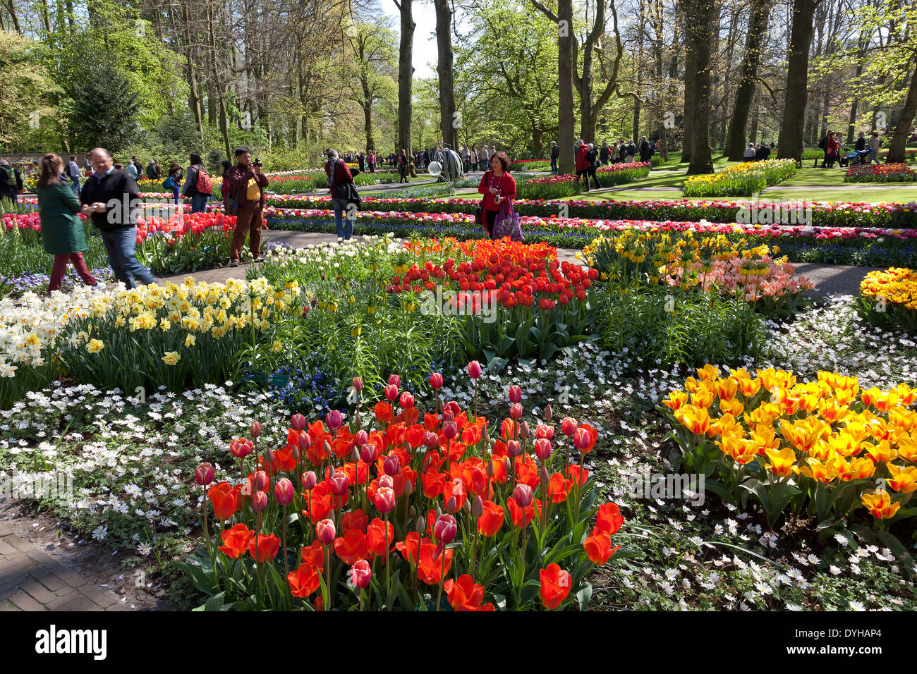 Tulips and tourists in the Keukenhof in Lisse, Holland Stock Photo - Alamy