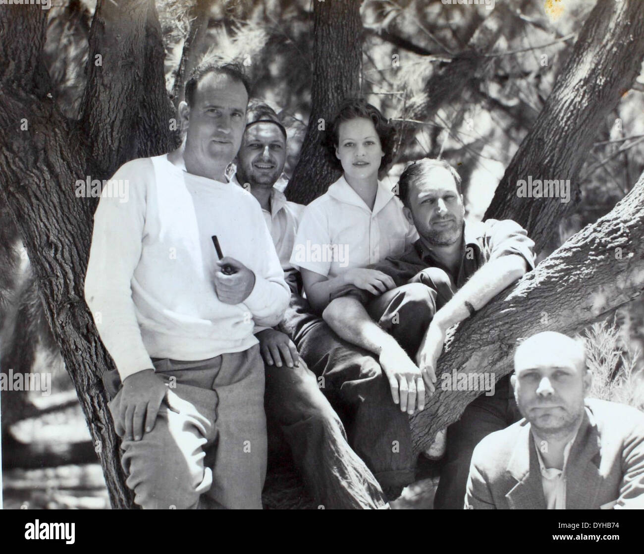 This photograph features the Douglas aircraft, highlighting its ...