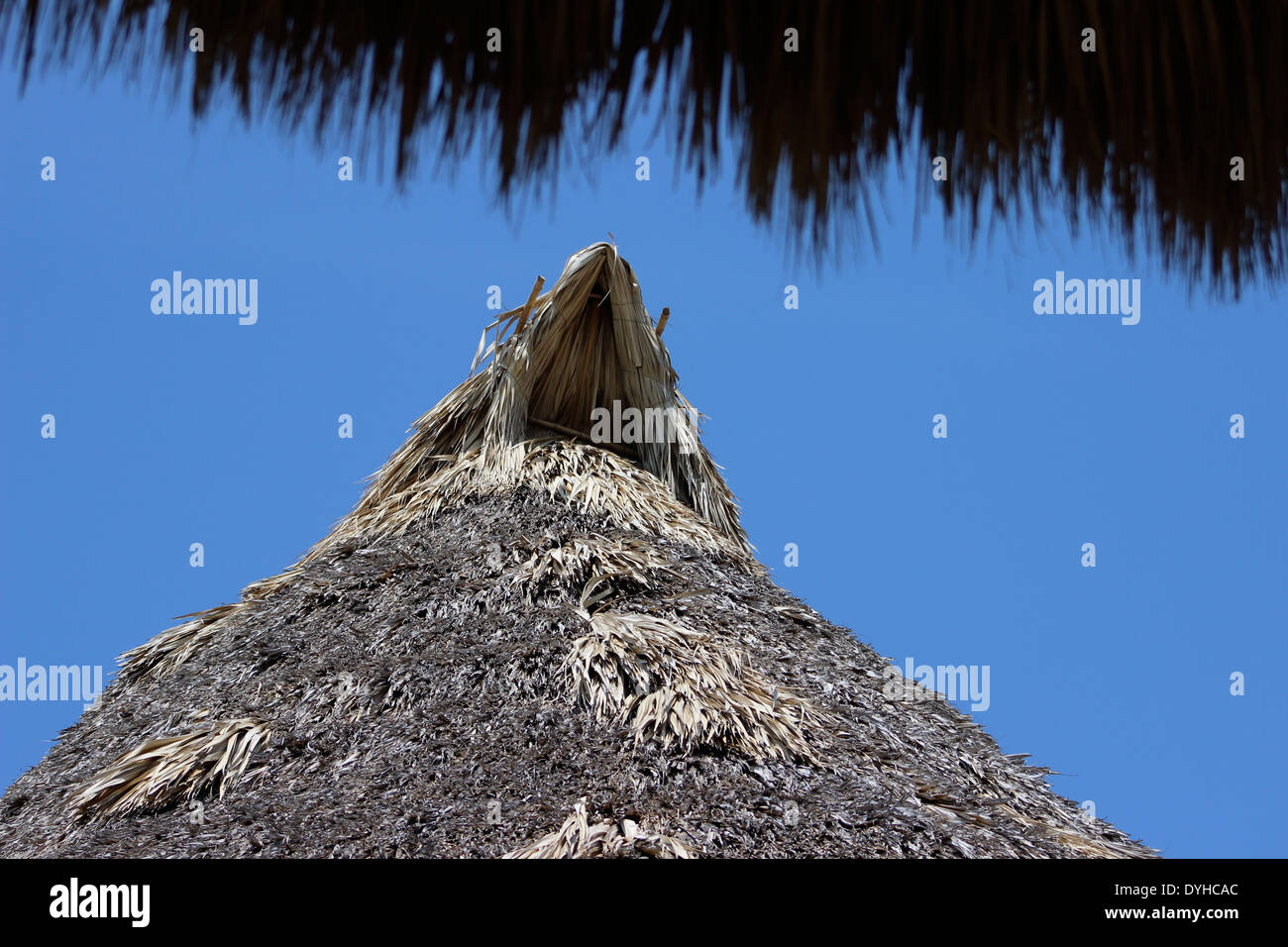 Palmera mexico playa palapa hi-res stock photography and images - Alamy