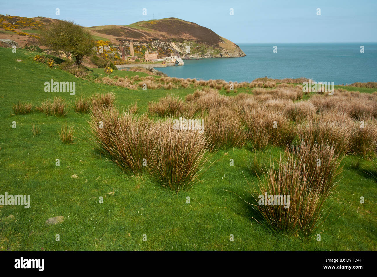 Porth Wen bay Anglesey Coastal Path Stock Photo - Alamy