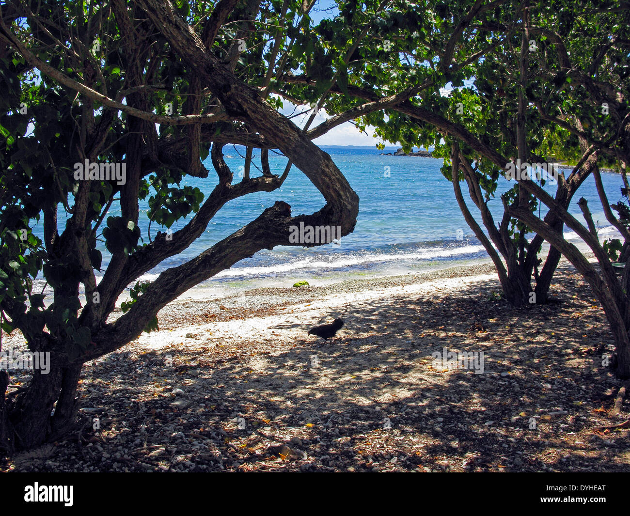 Path to Melones Beach Isla Culebra Puerto Rico USA territory Stock ...
