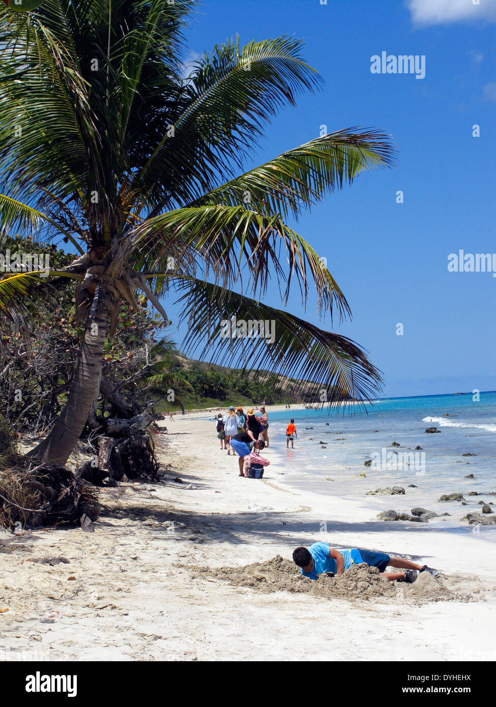 Isla Culebra Puerto Rico USA territory Zoni Beach young boy playing in ...